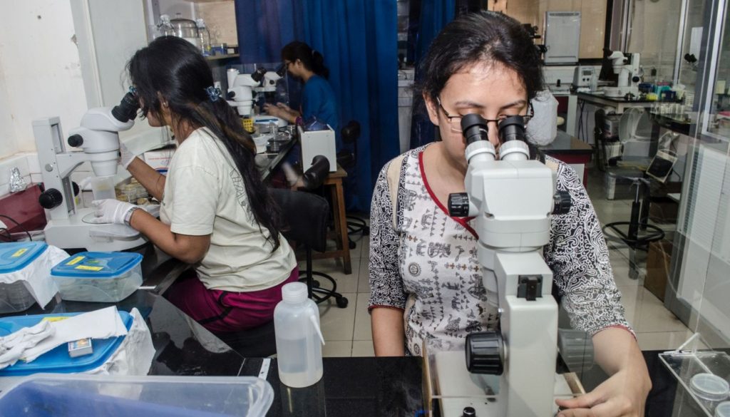 Indian Institute of Science