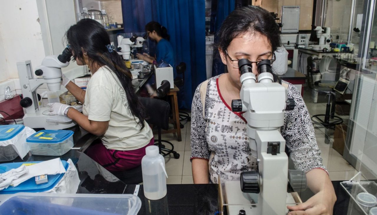 Indian Institute of Science